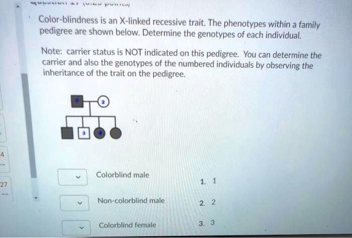 Color-blindness is an X-linked recessive trait. The phenotypes within a ...