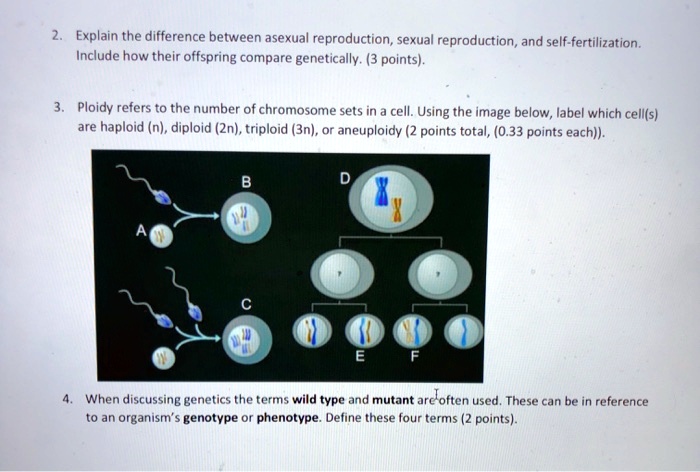 SOLVED: Explain the difference between asexual reproduction, sexual ...