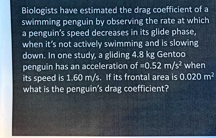 biologists have estimated the drag coefficient of a swimming penguin by ...