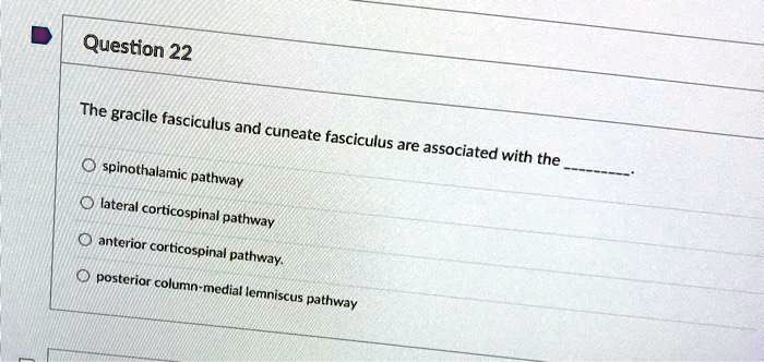 Question 22 The gracile fasciculus and cuneate fasciculus are ...