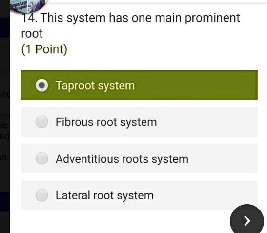 14. This system has one main prominent root (1 Point) Taproot system ...