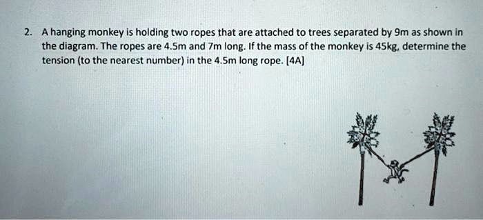 a hanging monkey is holding two ropes that are attached to trees ...