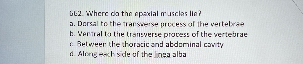 662. Where do the epaxial muscles lie? a. Dorsal to the transverse ...