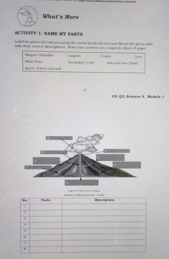 SOLVED: What's More ACTIVITY 1: NAME MY PARTS Label the parts of a volcano using the words ...