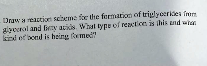 SOLVED: Draw a reaction scheme for the formation of triglycerides from ...