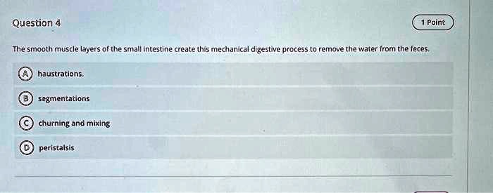 Question 4 1 Point The smooth muscle layers of the small intestine ...