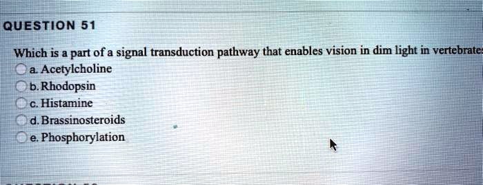 SOLVED: QUESTION 51 Which is part of a signal transduction pathway that ...
