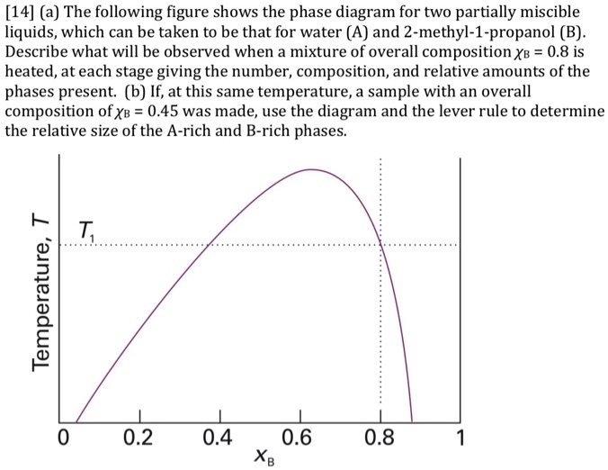 [14] (a) The following figure shows the phase diagram for two partially miscible liquids, which ...