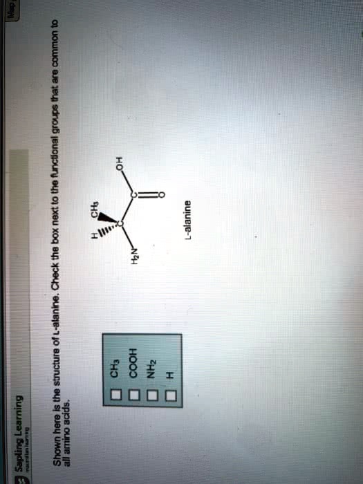 SOLVED: Shown here is the structure of L-alanine. Check the box next to ...