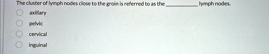 The cluster of lymph nodes close to the groin is referred to as the ...