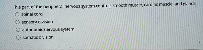 SOLVED: This part of the peripheral nervous system controls smooth ...