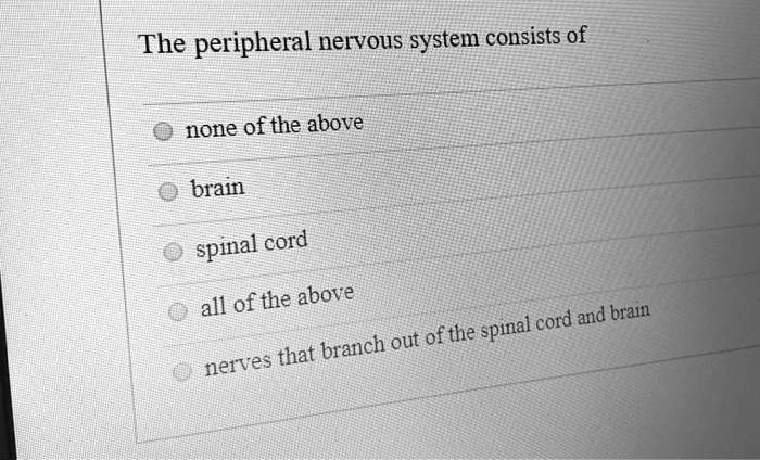 SOLVED: The peripheral nervous system consists of none of the above brain spinal cord all of the ...