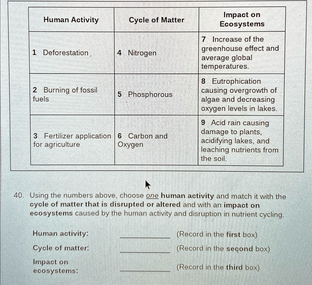 SOLVED: Human Activity: 1 Deforestation Cycle of Matter: 4 Nitrogen ...