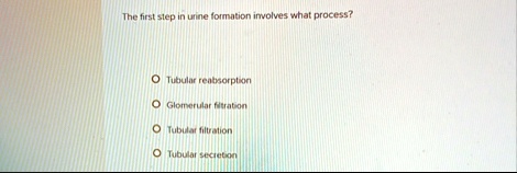 the first step in urine formation involves what process tubular ...