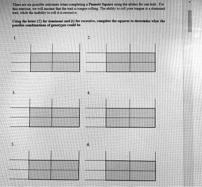 SOLVED: There are six possible outcomes when completing a Punnett ...
