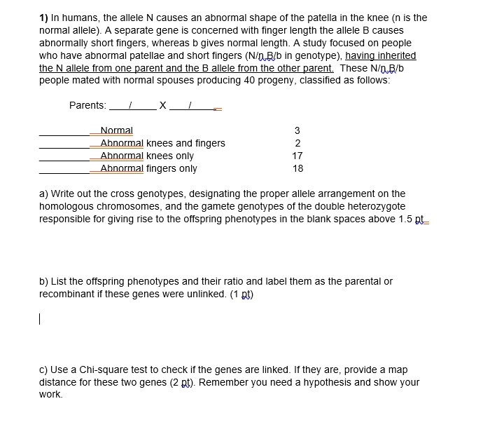 1) In humans, the allele N causes an abnormal shape of the patella in ...