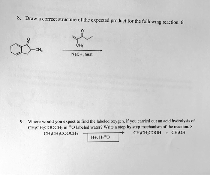 Solved Draw Correct Structure Of The Expected Product For The