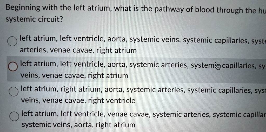 beginning with the left atrium what is the pathway of blood through the ...