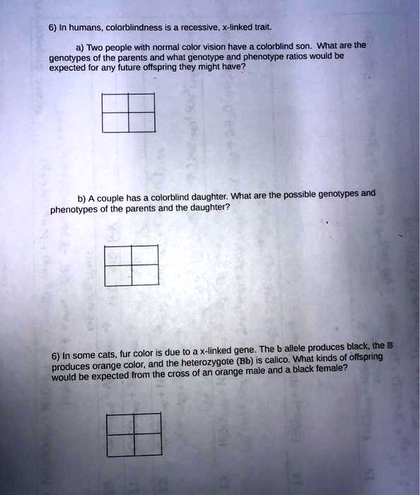 6 in humans colorblindness i5 recessive linked trait a two people with ...