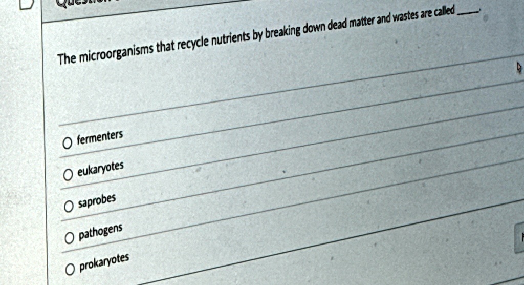 The microorganisms that recycle nutrients by breaking down dead matter ...