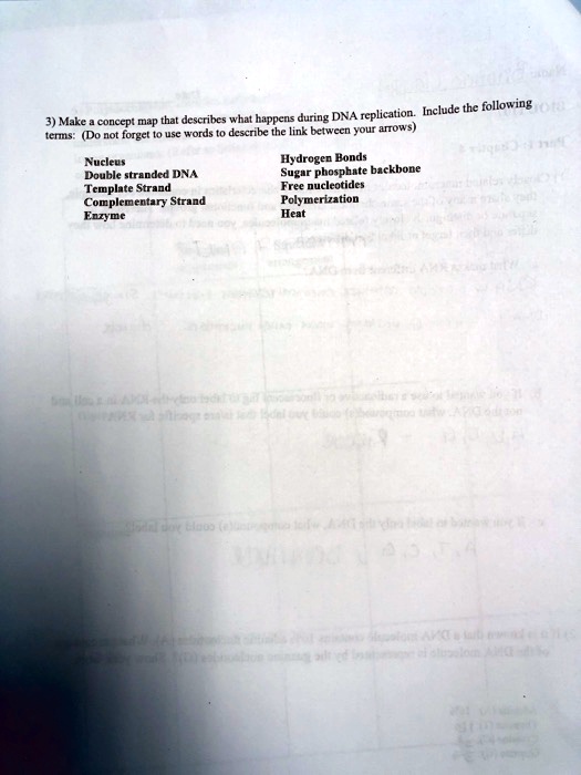 SOLVED: Include the following 3) Make concepi map tha describes what happens during DNA ...