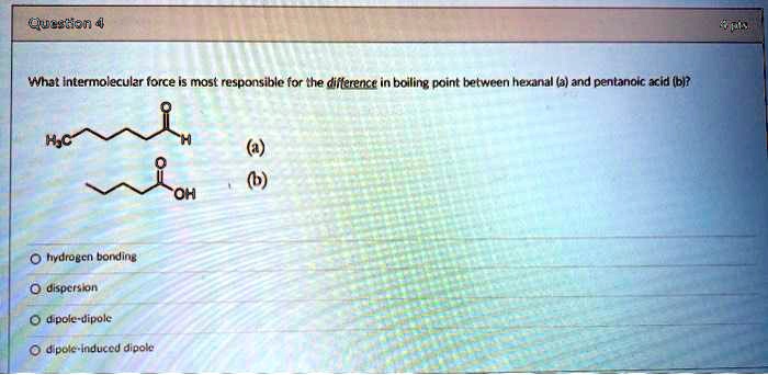 What intermolecular force is most responsible for the difference in ...