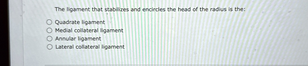 the ligament that stabilizes and encircles the head of the radius is ...