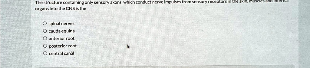 The structure containing only sensory axons, which conduct nerve ...