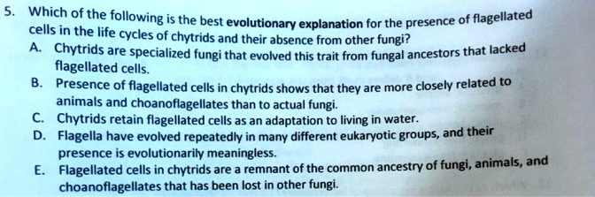 SOLVED: which ofthe following is the best evolutionary explanation for ...