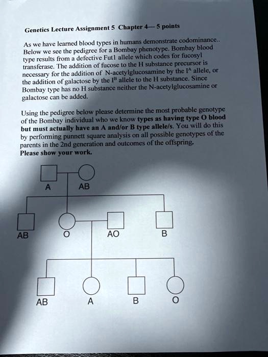 genetics lecture assignment chapter points as we have learned blood ...