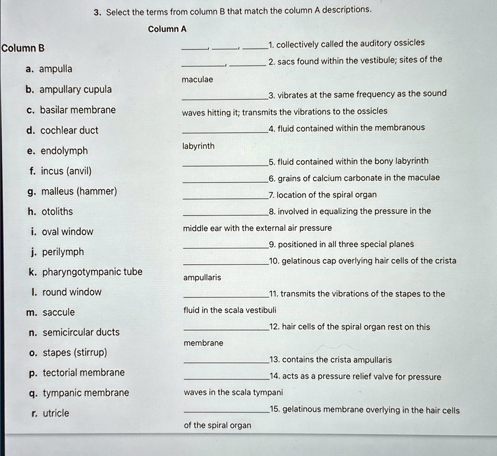 3. Select the terms from column B that match the column A descriptions ...