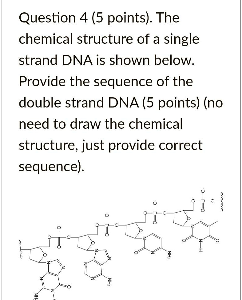 question 4 5 points the chemical structure of a single strand dna is shown below provide the ...