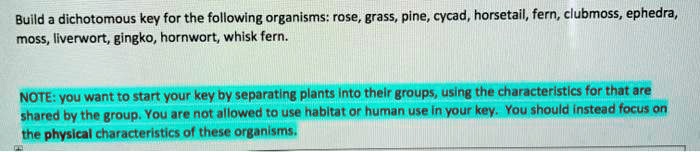 SOLVED:Build dichotomous key for the following organisms: rose, grass ...
