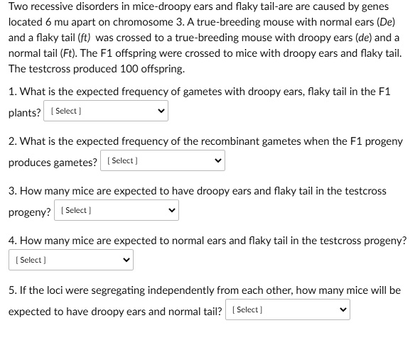 two recessive disorders in mice droopy ears and flaky tail are are ...