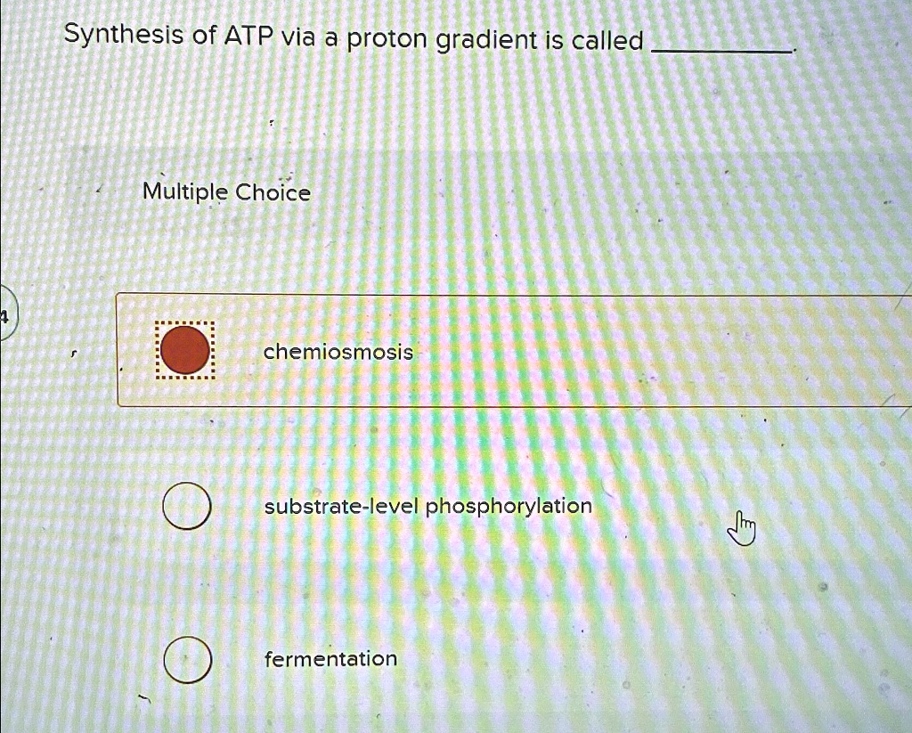 SOLVED: Synthesis of ATP via a proton gradient is called Multiple Choice chemiosmosis substrate ...