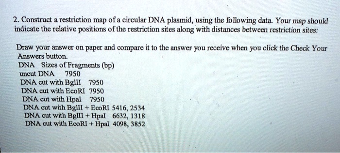 2 Construct Restriction Map Ofa Circular Dna Plasmid Using The Following Data Your Map Should 0930