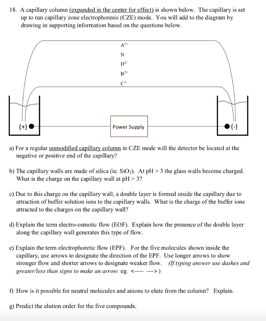 SOLVED: 18. A capillary column (expanded in the center for effect) is ...