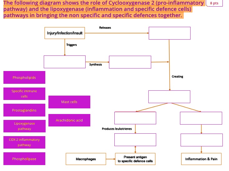 the following diagram shows the role of cyclooxygenase 2 pro inflamma ...
