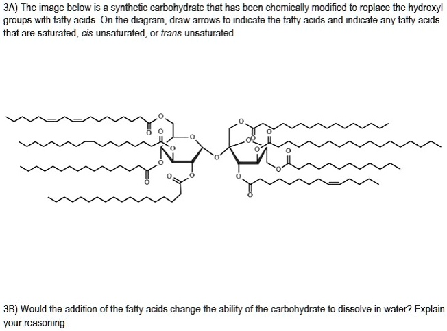 SOLVED: 3A The image below is a synthetic carbohydrate that has been ...