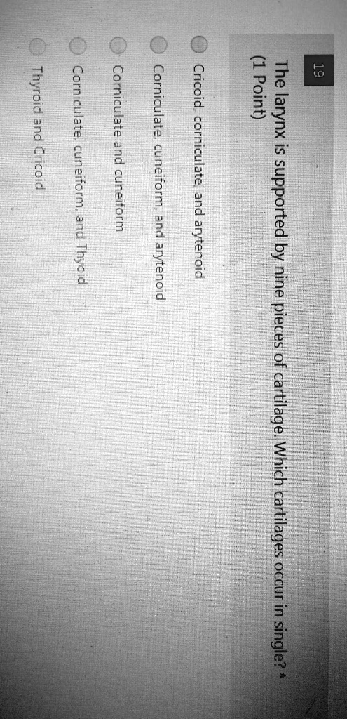 thyroid and cricoid corniculatecuneiformand thyoid corniculate and ...