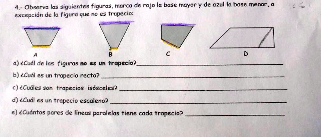 SOLVED: 0 m 4.- Observa las siguientes figuras, marca de rojo la base ...