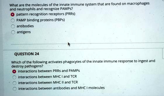 SOLVED: What are the molecules of the Innate immune system that are ...
