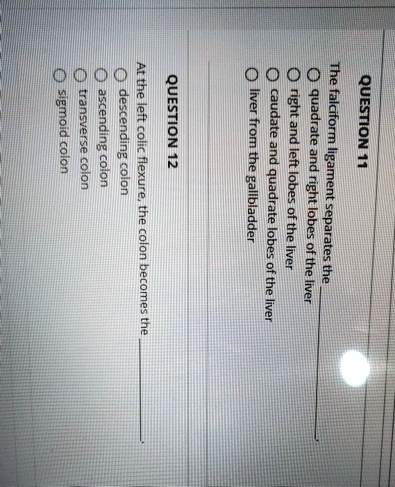SOLVED: - sigmoid colon - transverse colon - ascending colon - descending colon - QUESTION 12 ...