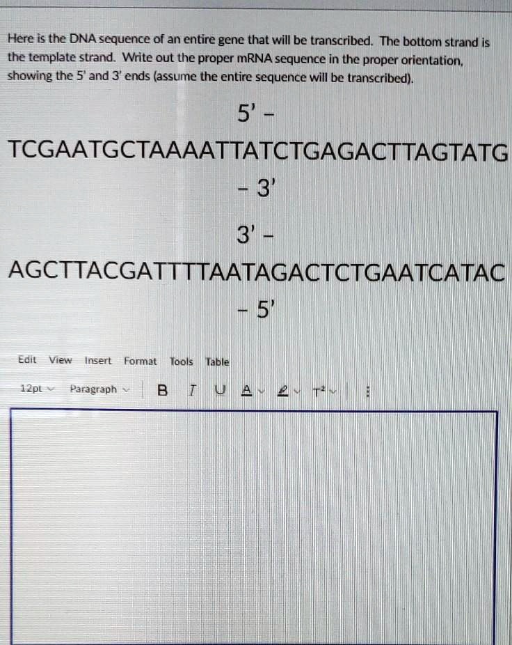 here is the dna sequence of an entire gene that will be transcribed the ...