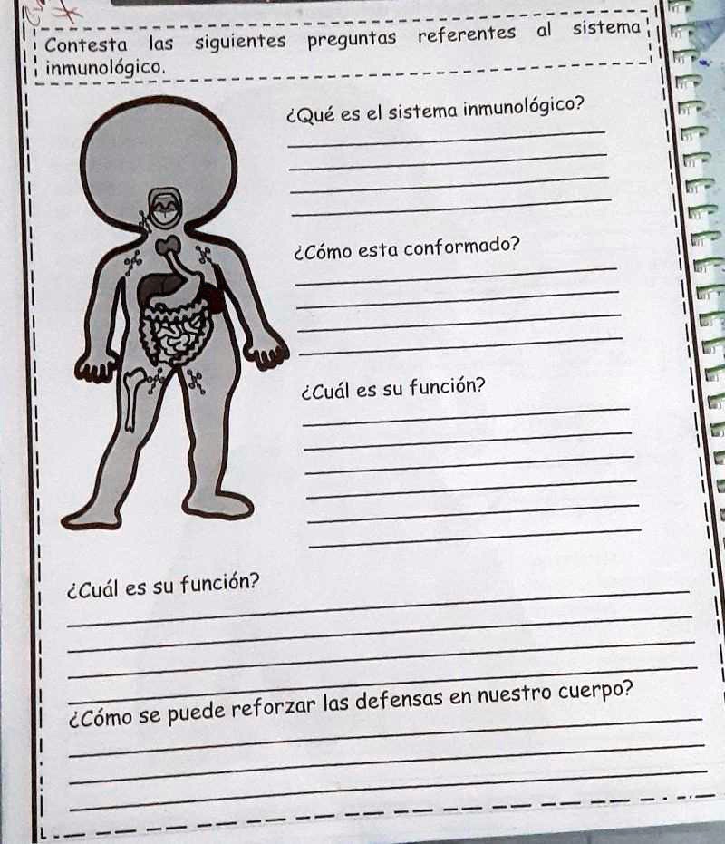 SOLVED: ayuda es para mañana referentes al sistema Contesta las ...