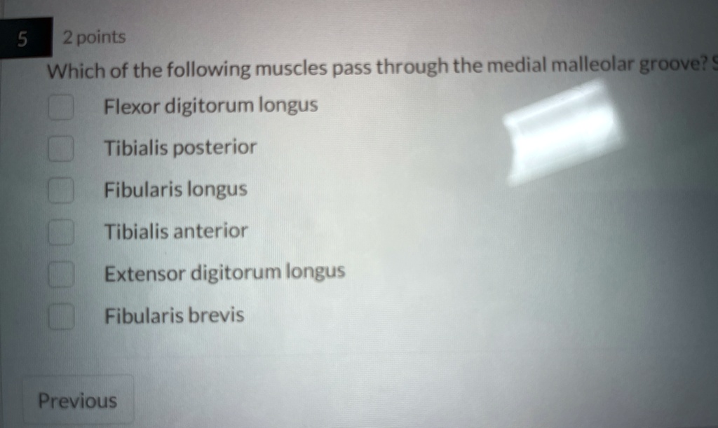 5 2 points Which of the following muscles pass through the medial ...