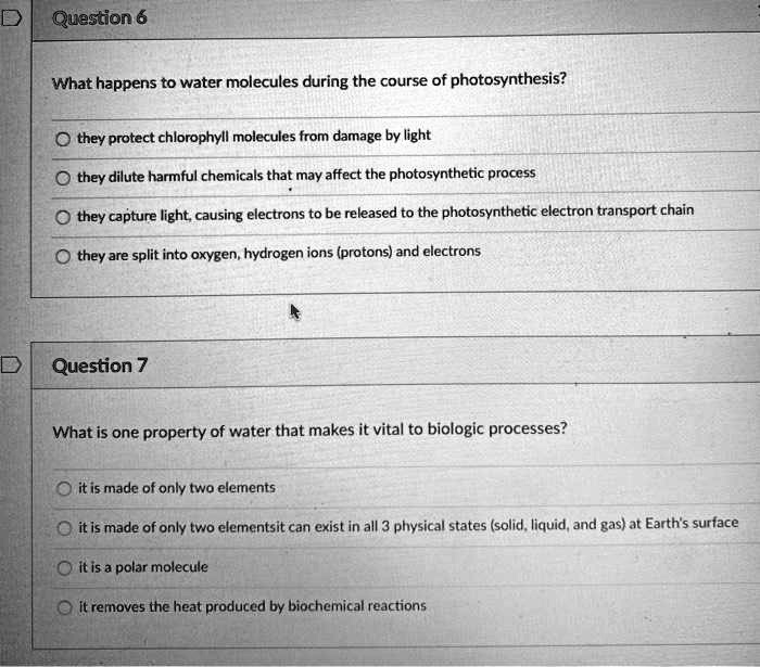 SOLVED Question 6 What Happens To Water Molecules During The Course Of solved-question-6-what-happens-to-water-molecules-during-the-course-of