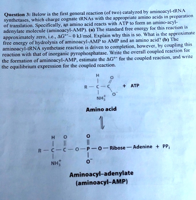 SOLVED: Question 3: Below is the first general reaction (of two ...