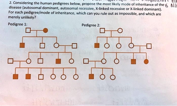 sconsidering the human pedigrees below propose the most likely mode of ...