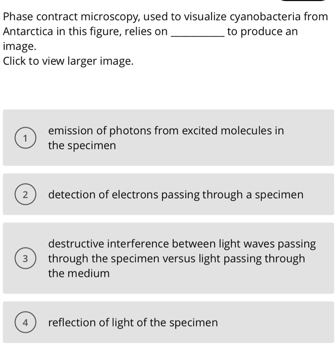 SOLVED: Phase contract microscopy, used to visualize cyanobacteria from ...